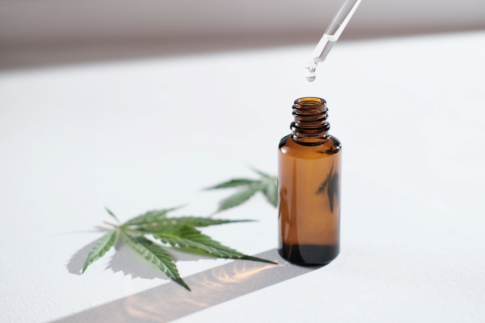 CBD Tinctures for Seniors: A 55Plus Guide | 55Plus CBD